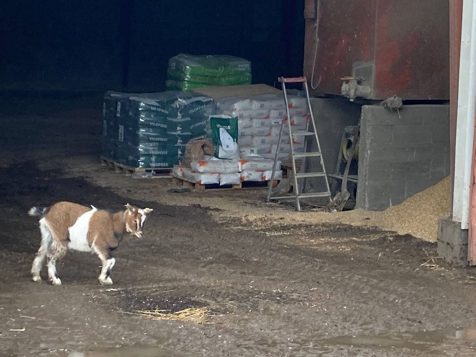 Sparede en million kroner sammen: Mathias Hedegaard Hansen har skabt en ...