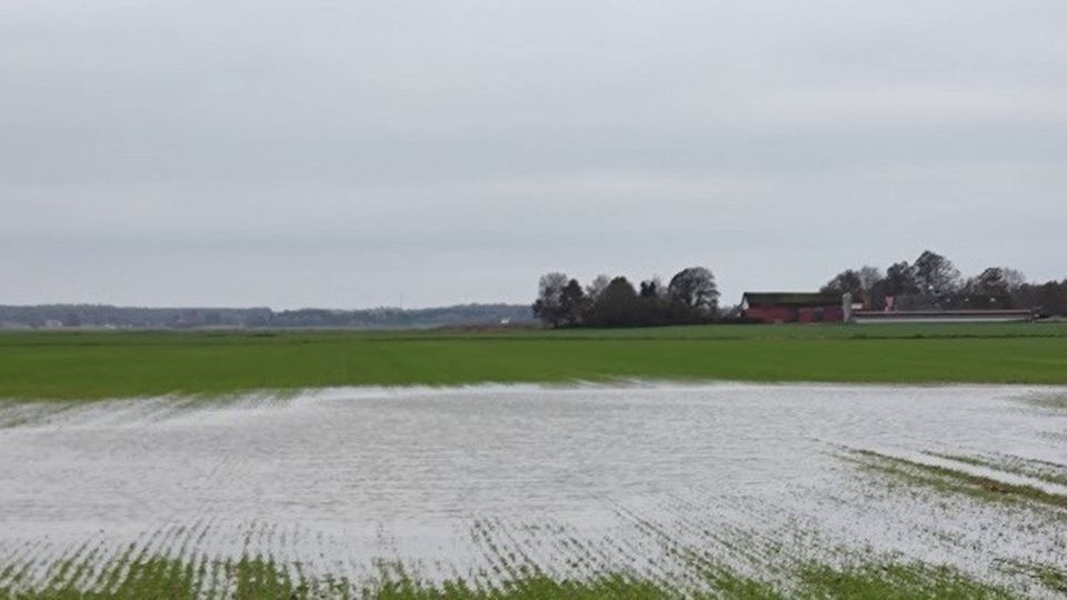 Kolindsund som sø - regeringen går nu all-in på afklaring - Din Avis