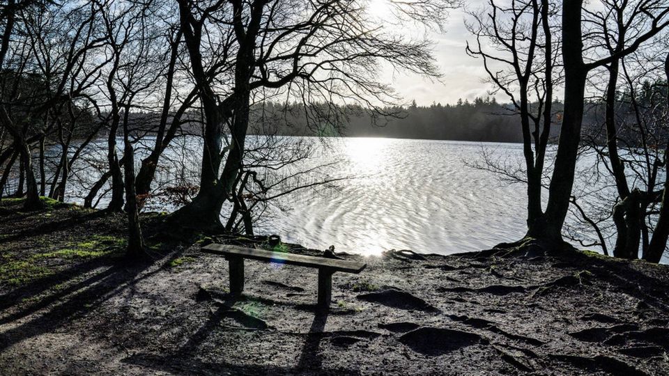 Tæt på dig lige nu - Din Avis