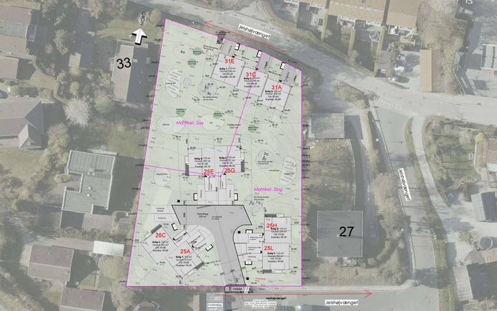 »Hvad fanden har du gang i?!« - Da gammelt egetræ faldt til jorden fik ...