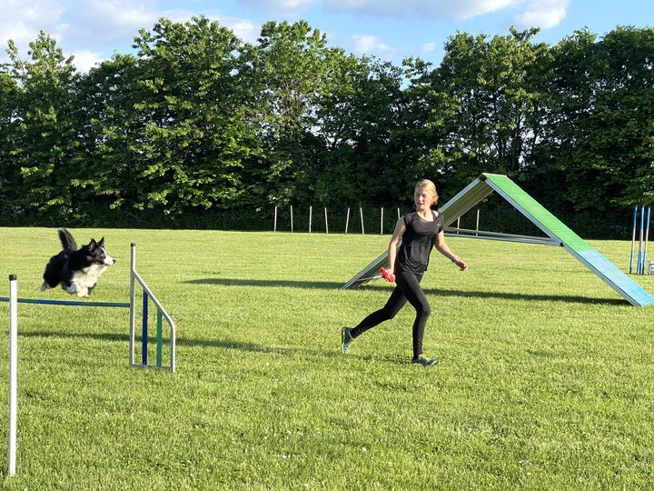Signe og Svip skal til VM i agility - Din Avis