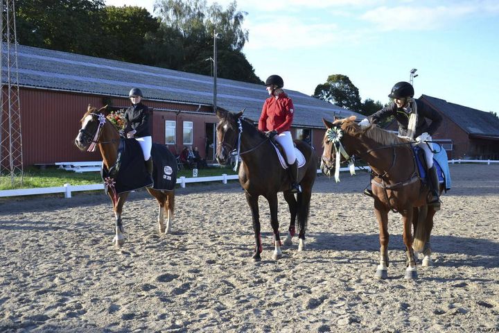 Jubilæum: 25 år med Kongsvad-ånden - Din Avis