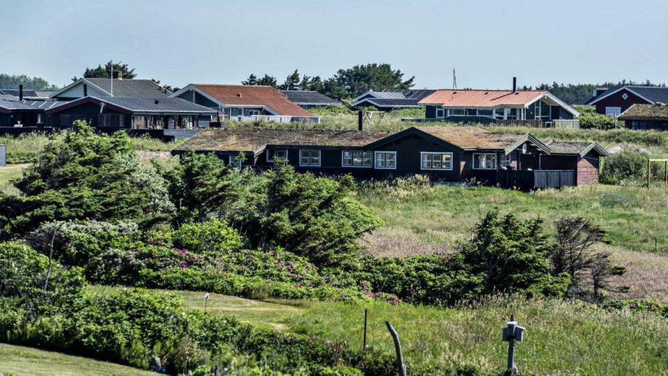 Pas på giftig slange i den danske natur: Det her må du aldrig gøre ...