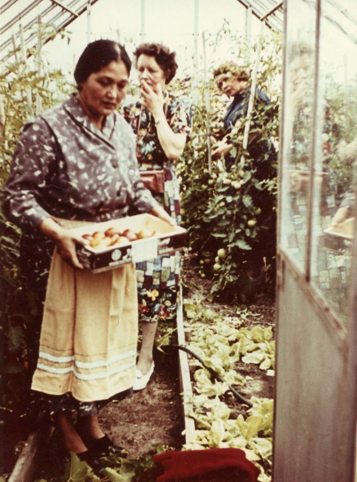 Når man ser dem fra vejen, kan man undre sig: Hvorfor ligger der to ...