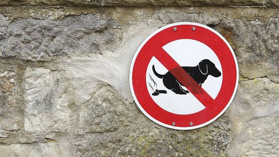 Gæt en lort... - Din Avis