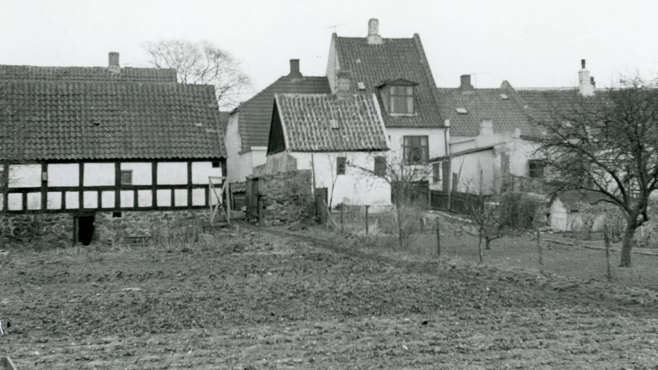 Haver, kålhoveder og havets trussel har historisk betydning for ...