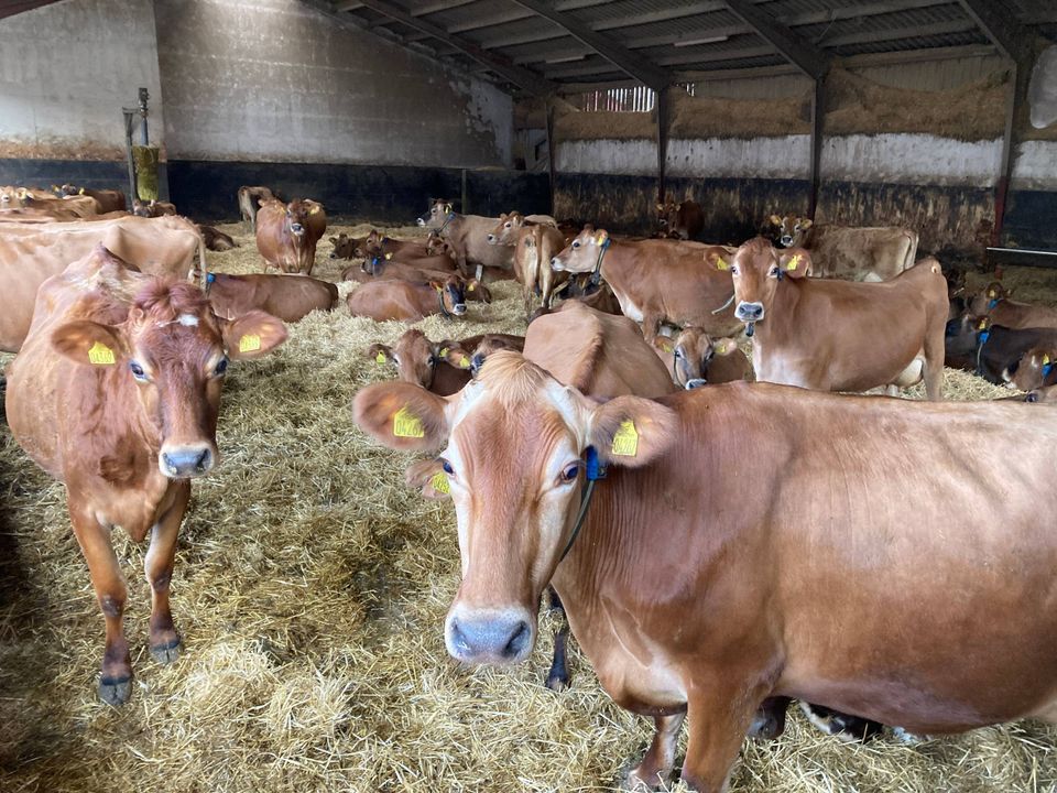 Sparede en million kroner sammen: Mathias Hedegaard Hansen har skabt en ...