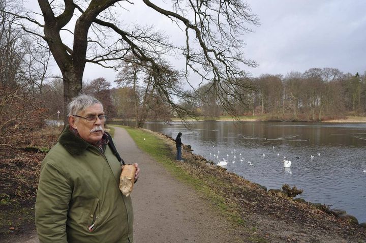 Fiskeri er forbudt, hvor svane har fået fiskekrog i næbbet - Din Avis