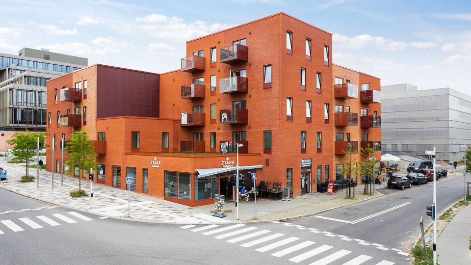 Zebra House får en ny beboer, som er kendt i området - Din Avis