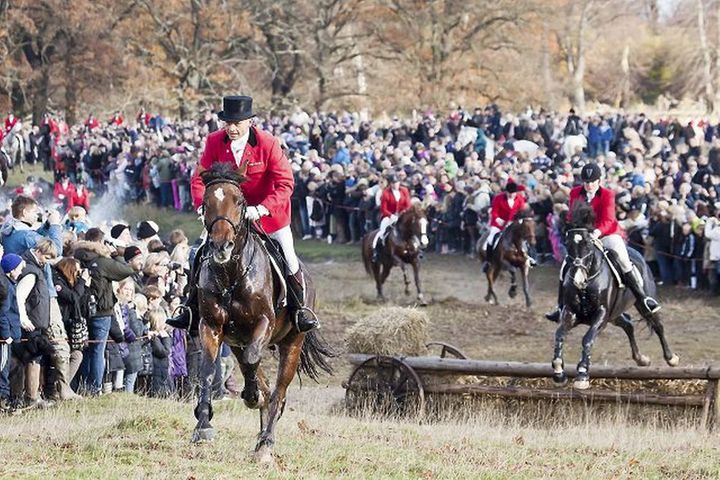 160 heste og ryttere på spring i Dyrehaven - Din Avis