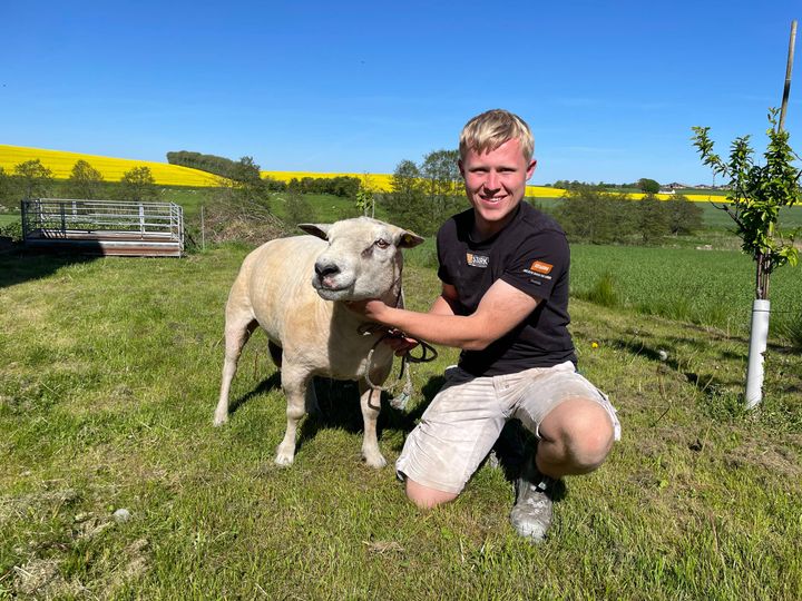 Han er Danmarks dygtigste unge murer, men vil måske hellere være landmand - Din Avis