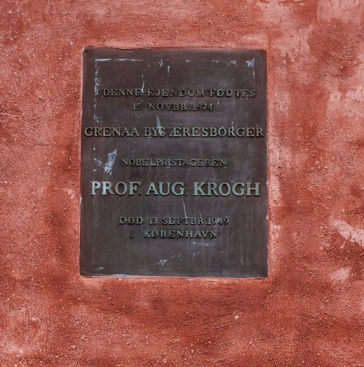 Ny biografi om Grenaas første æresborger - Din Avis