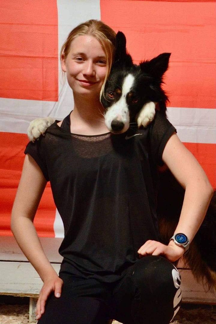 VM i agility venter: »Svip kunne træne herfra og til verdens ende ...