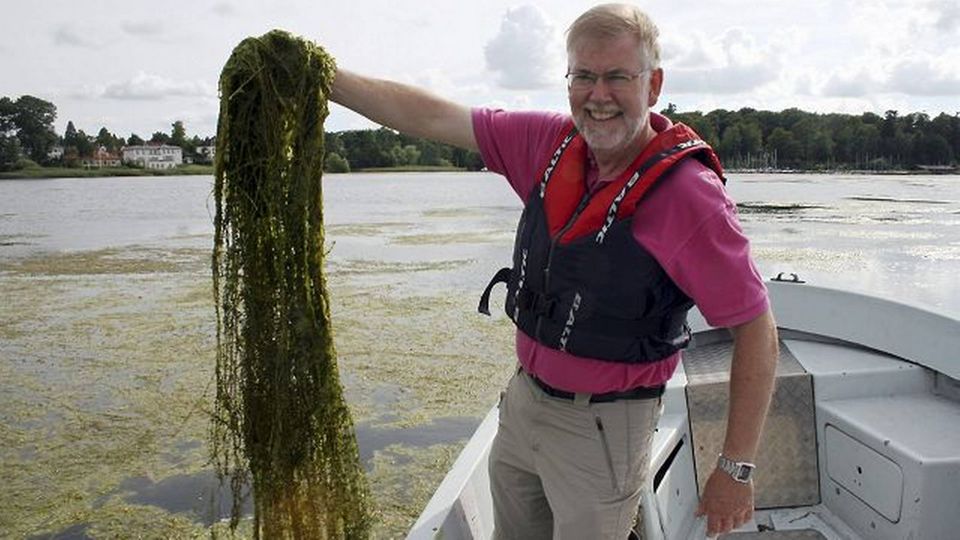 142.500 kroner til kamp mod vandpest i Furesøen - Din Avis