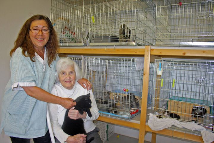 Flyttekasser med 21 katte dumpet ved Tøstrup Kattehjem - Din Avis