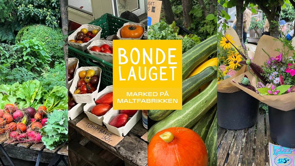Bondelauget: Drømme og grøntsager ruller frem i Syddjurs - Din Avis